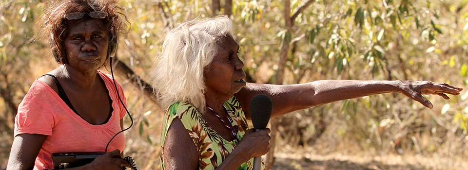 Home - Warmun Art Centre